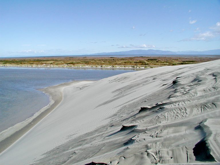 Farewell Spit - Twin Waters Lodge